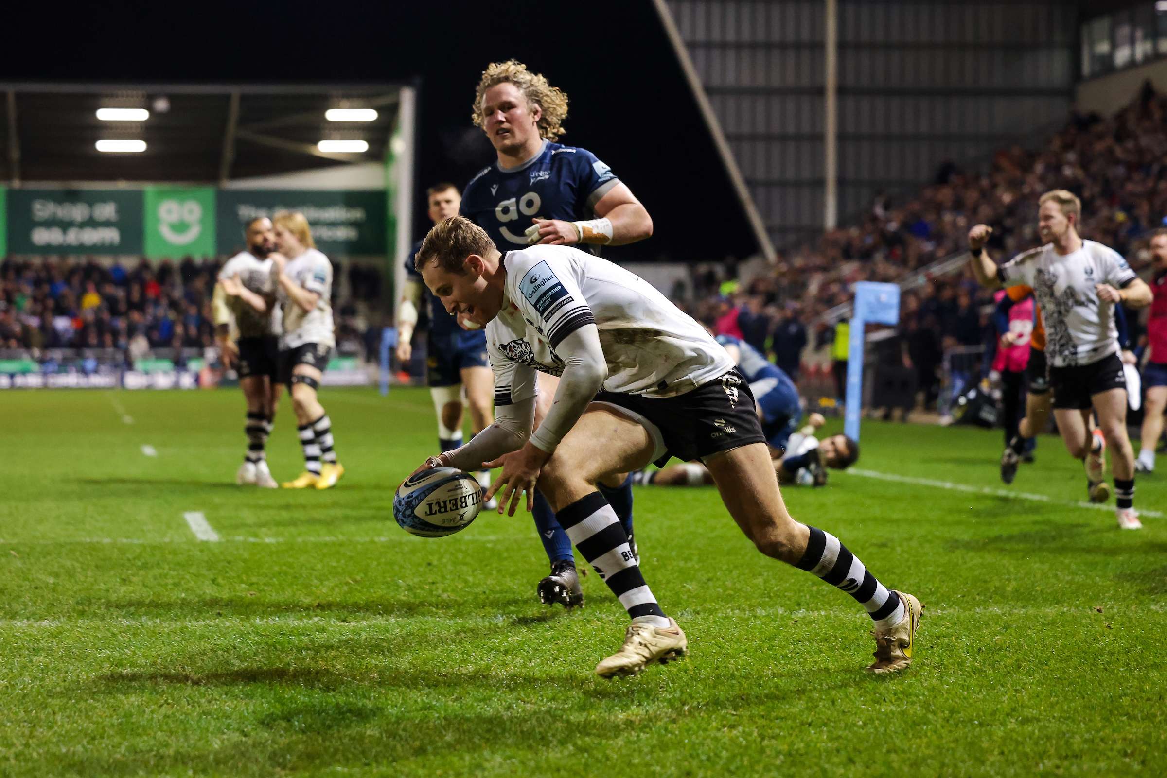 Gallery: Bears end Sharks' unbeaten home record - Bristol Bears Rugby