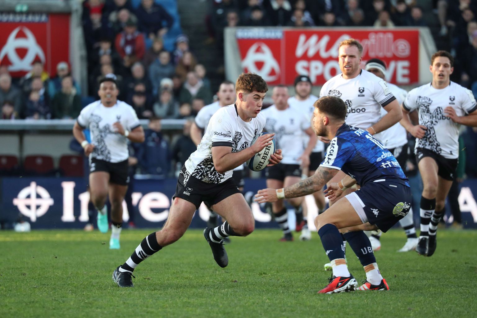 Meet the animals from Avon Valley Wildlife Park ahead of Ealing clash ...